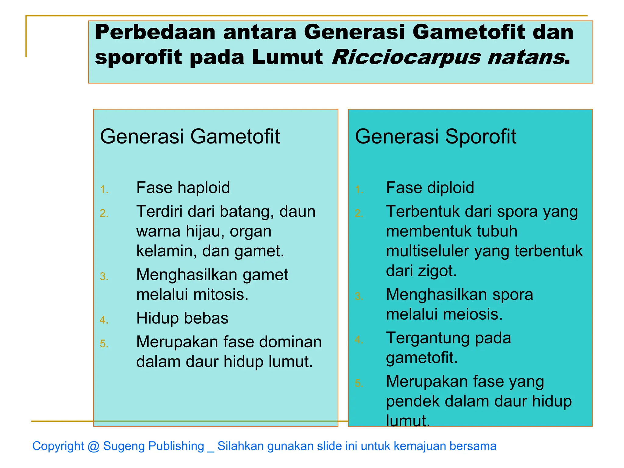 Siklus Hidup Tumbuhan Lumut.ppt