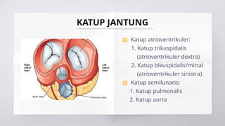 KULIAH SIKLUS DAN FISIOLOGI JANTUNG SLIDE PPT | PPT