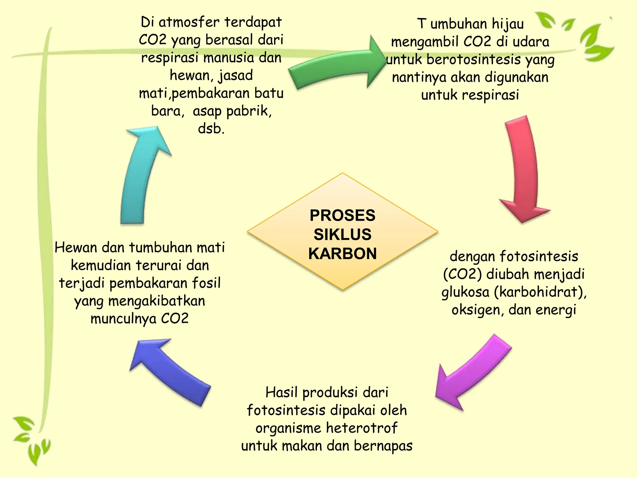 Siklus Karbon materi kuliah tahun 2019.ppt