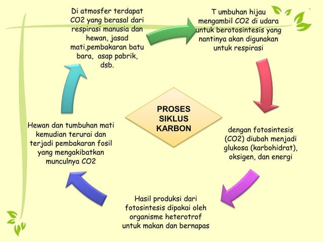 Siklus Karbon materi kuliah tahun 2019.ppt
