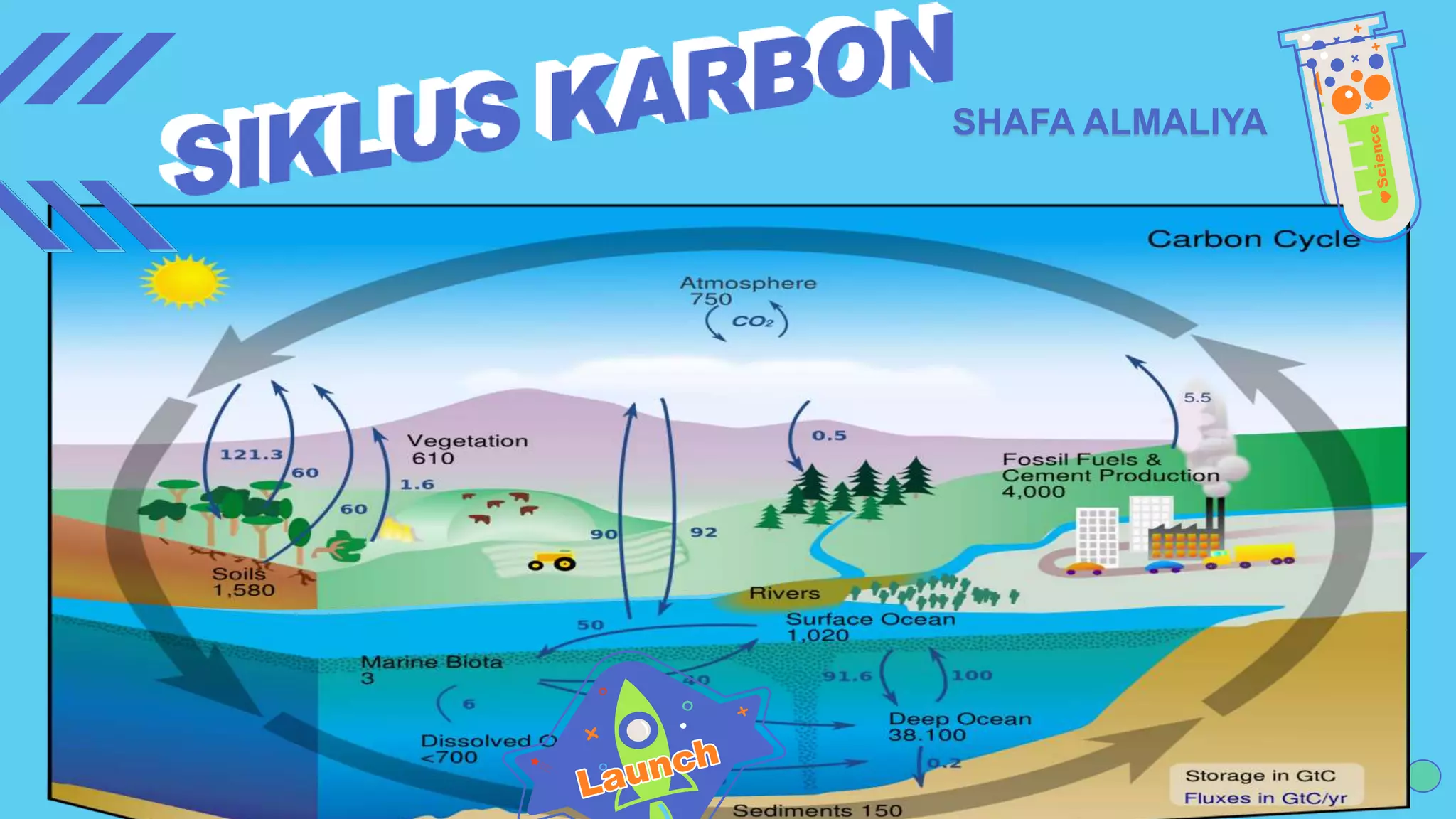 Siklus Karbon | PPTX