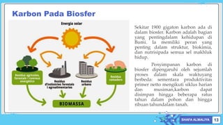 Siklus Karbon | PPTX