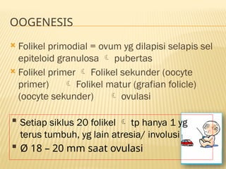 siklus kesehatan reproduksi wanita, kesehatan | PPT