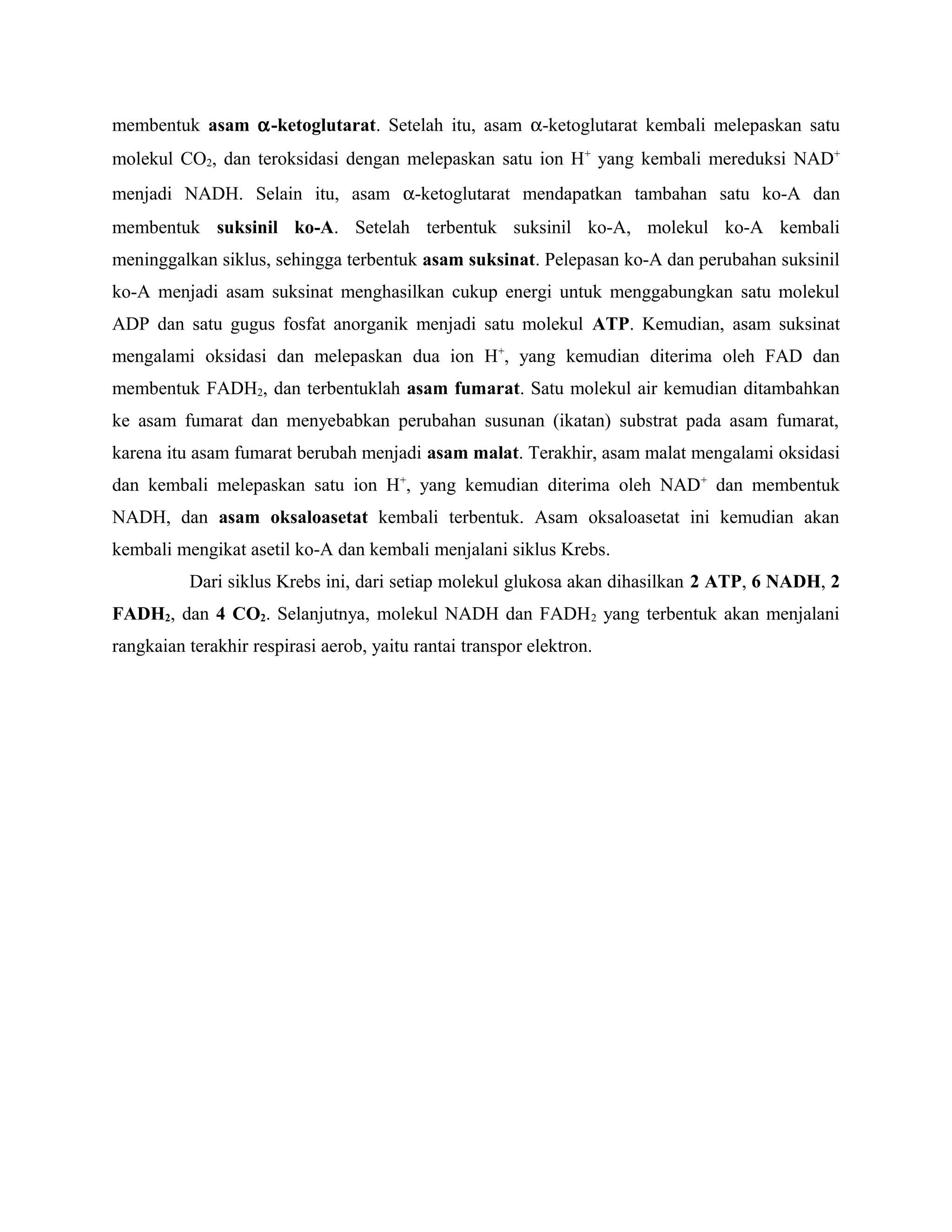 Siklus krebs AKPER PEMKAB MUNA | DOC