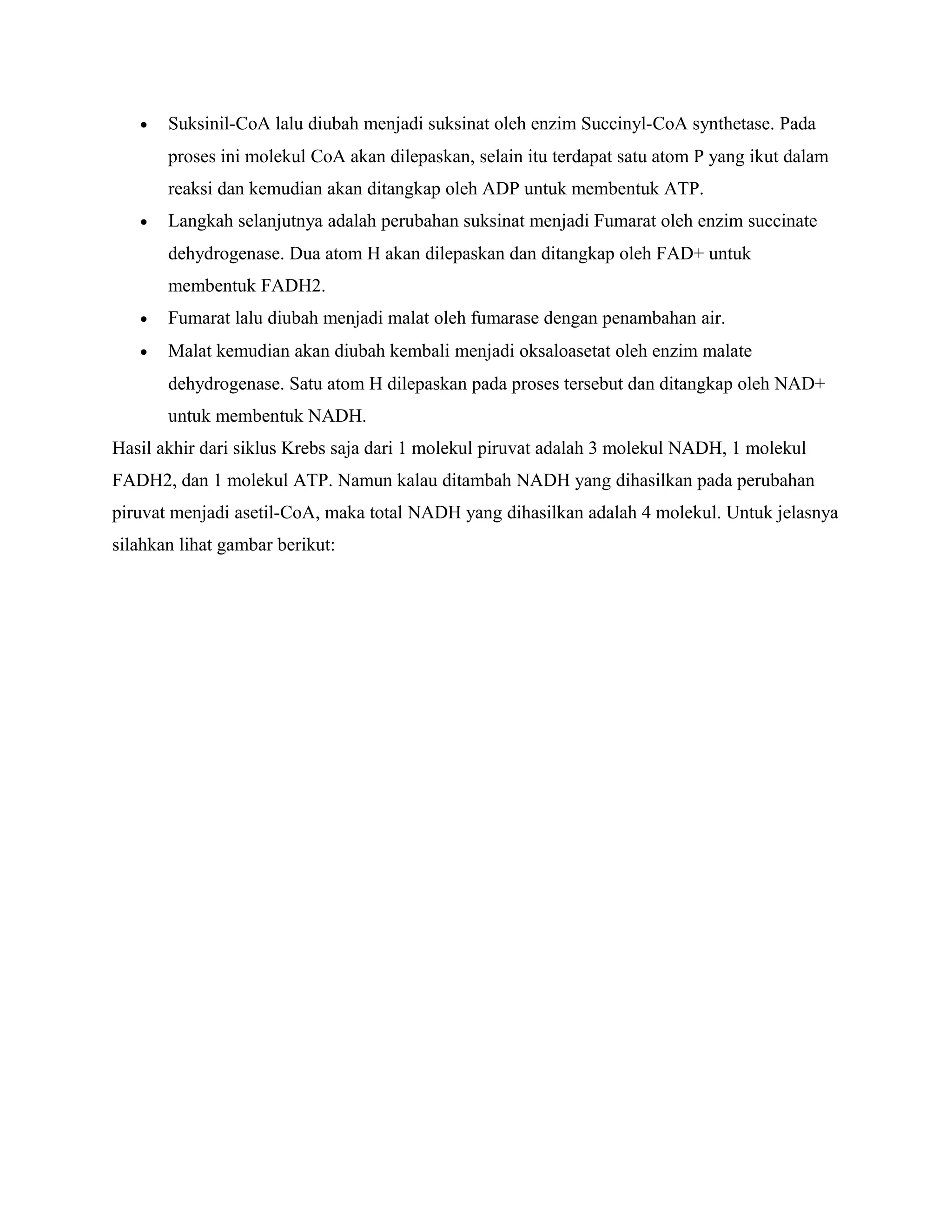 Siklus krebs AKPER PEMKAB MUNA | DOC