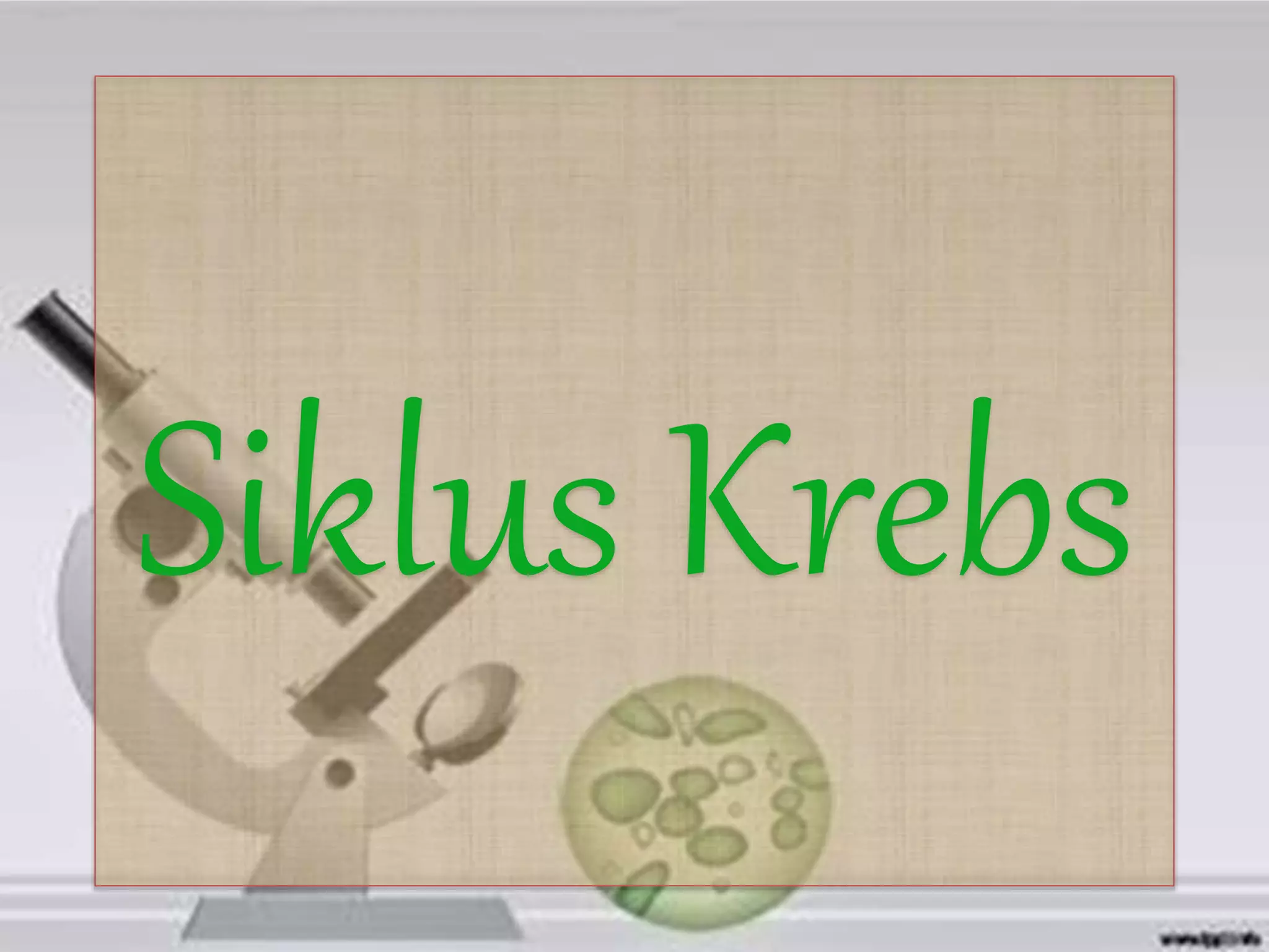 Siklus Krebs | PPTX