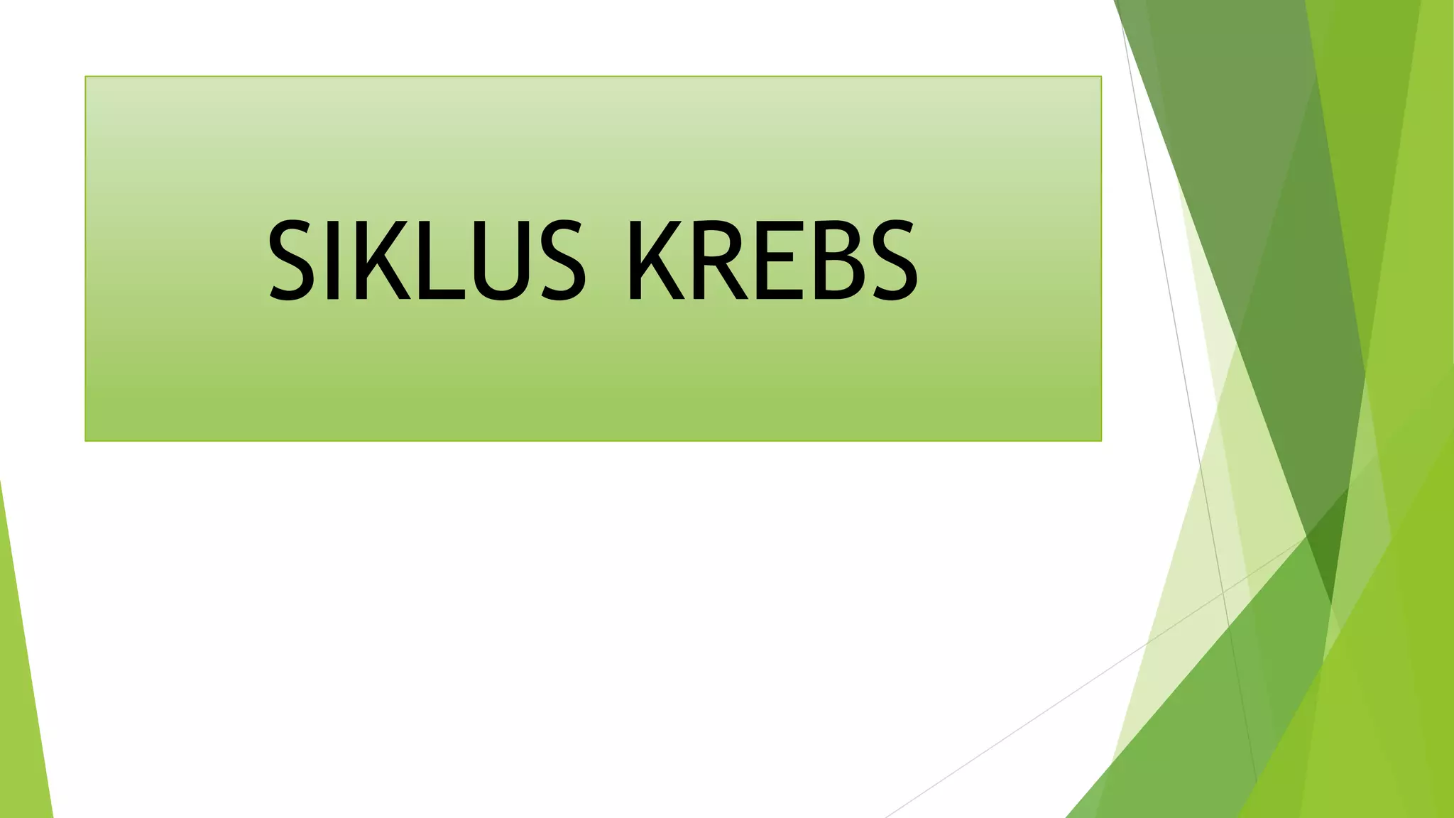 SIKLUS KREBS.ppt