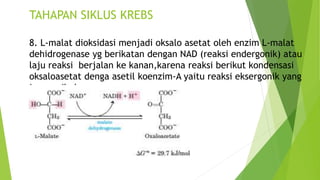 SIKLUS KREBS.ppt