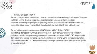 siklus krebs dan transpor elektron.pptx