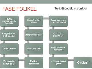 Siklus menstruasi | PPTX