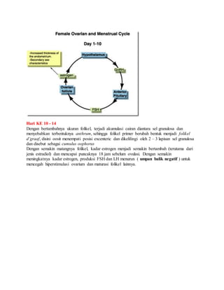 Siklus menstruasi | PDF
