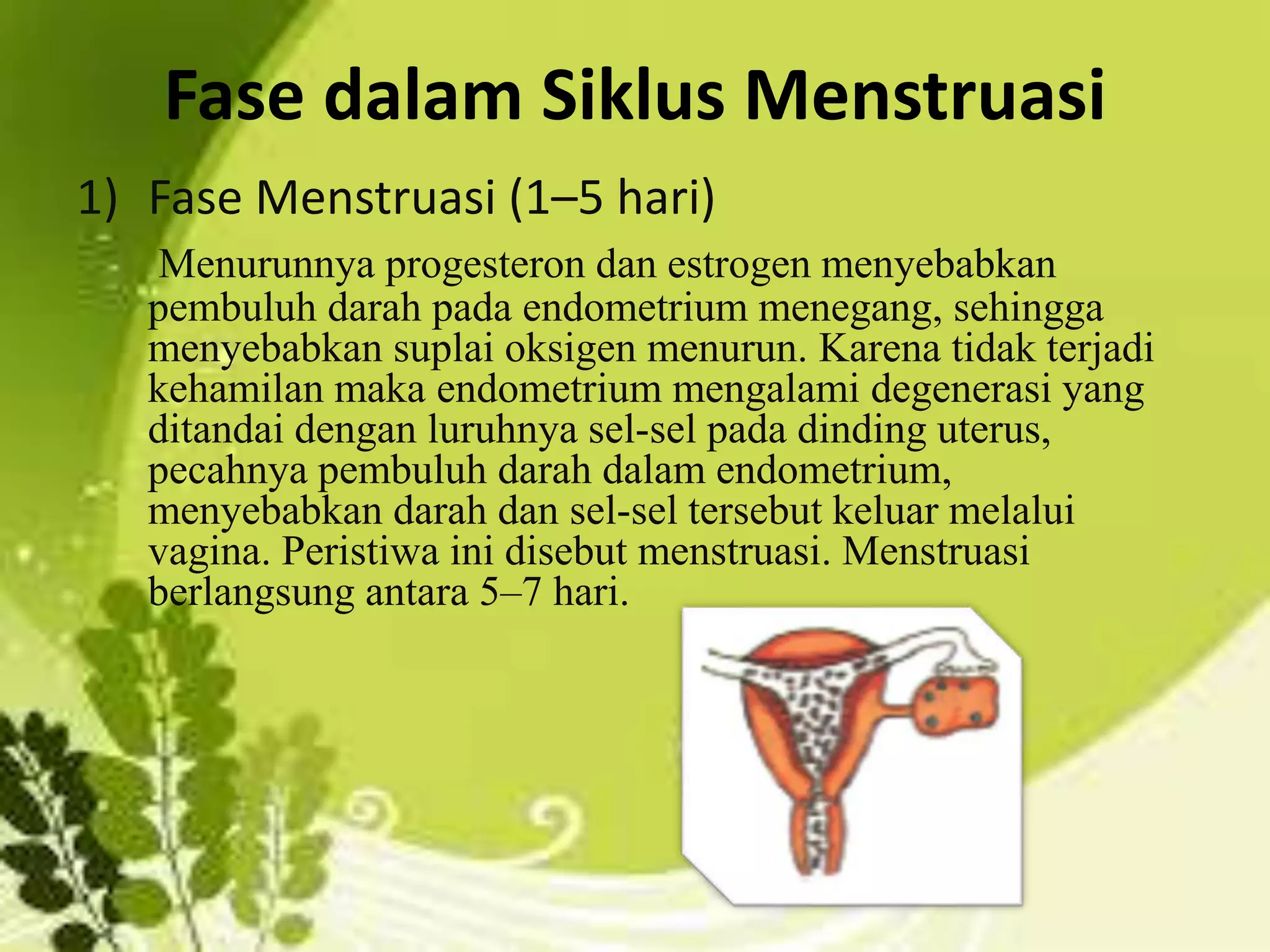 Siklus menstruasi dan hormon kelas 11 Science | PPTX