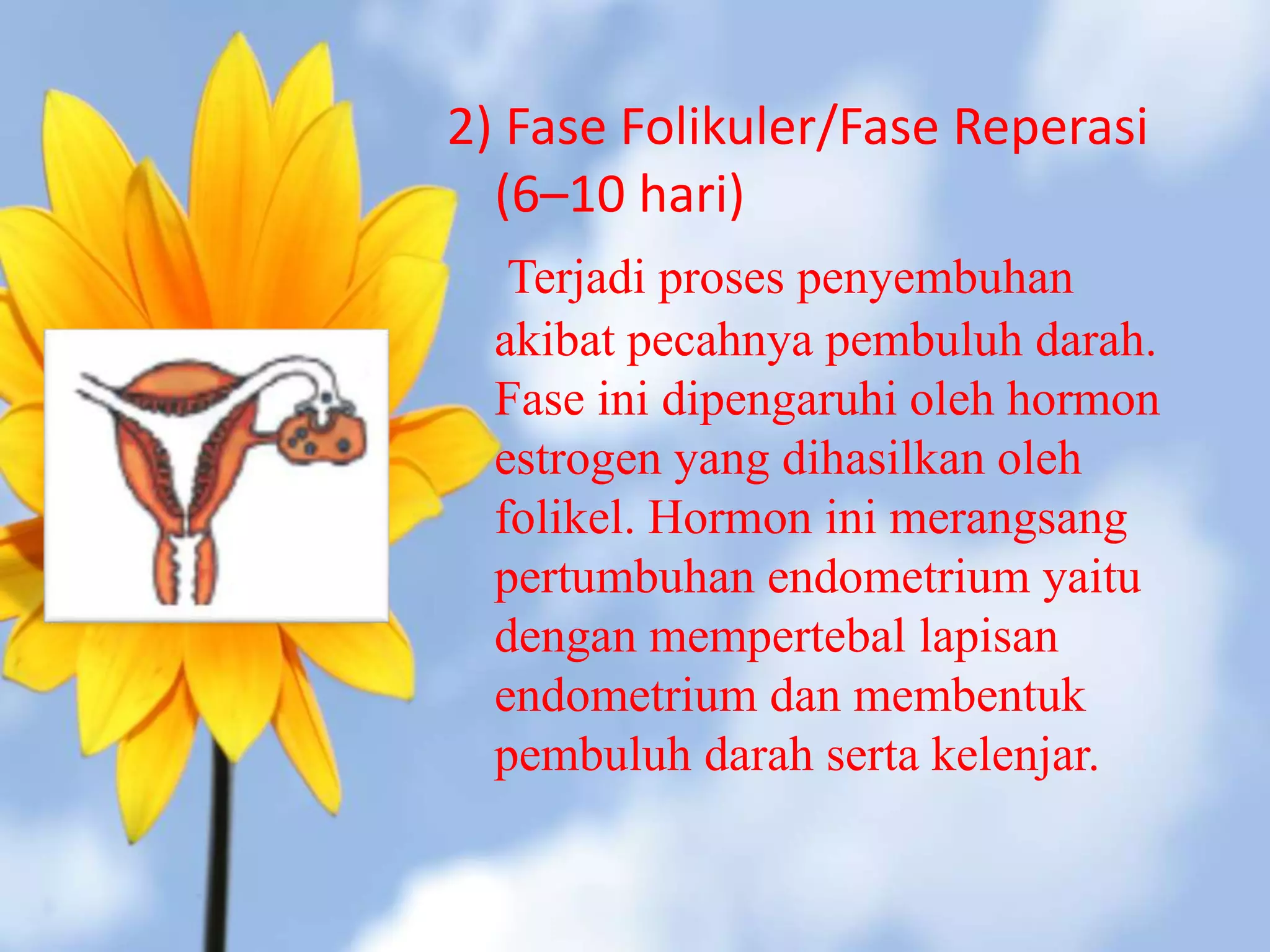 Siklus menstruasi dan hormon kelas 11 Science | PPTX