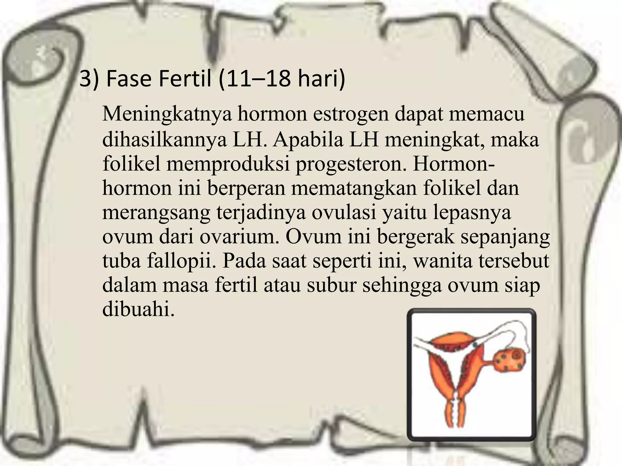 Siklus menstruasi dan hormon kelas 11 Science | PPTX