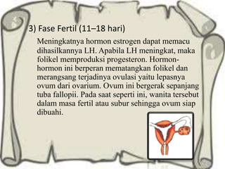 Siklus menstruasi dan hormon kelas 11 Science | PPTX