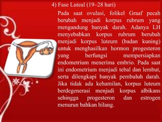 Siklus menstruasi dan hormon kelas 11 Science | PPTX