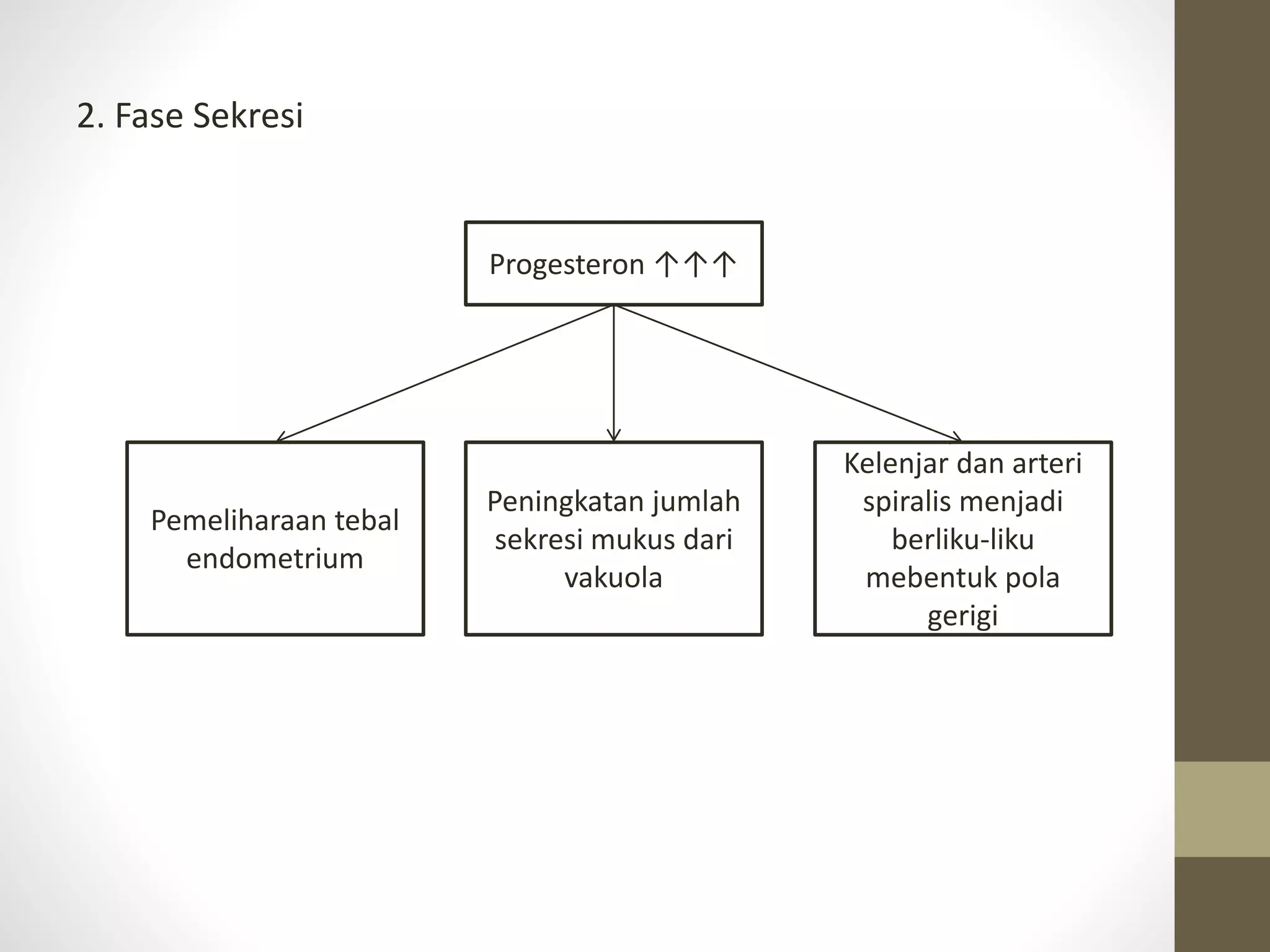 siklus mestruasi.pptx
