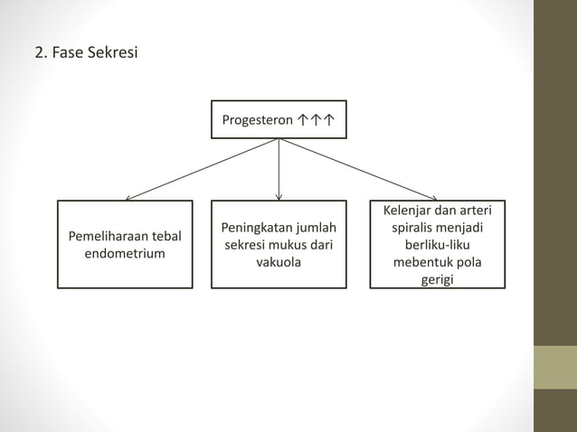 siklus mestruasi.pptx