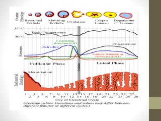 siklus mestruasi.pptx