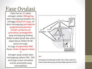 siklus mestruasi.pptx