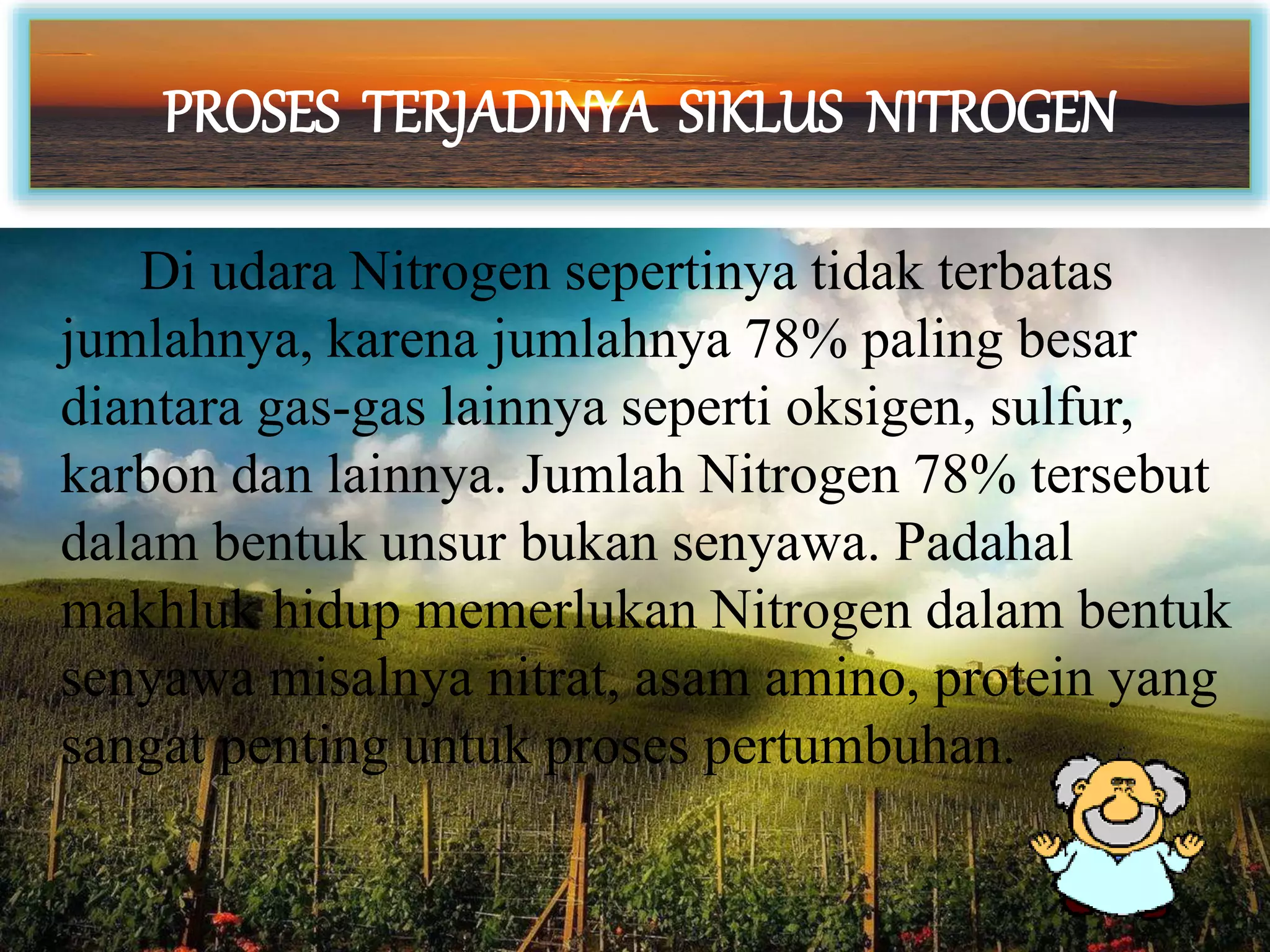 Siklus nitrogen | PPTX