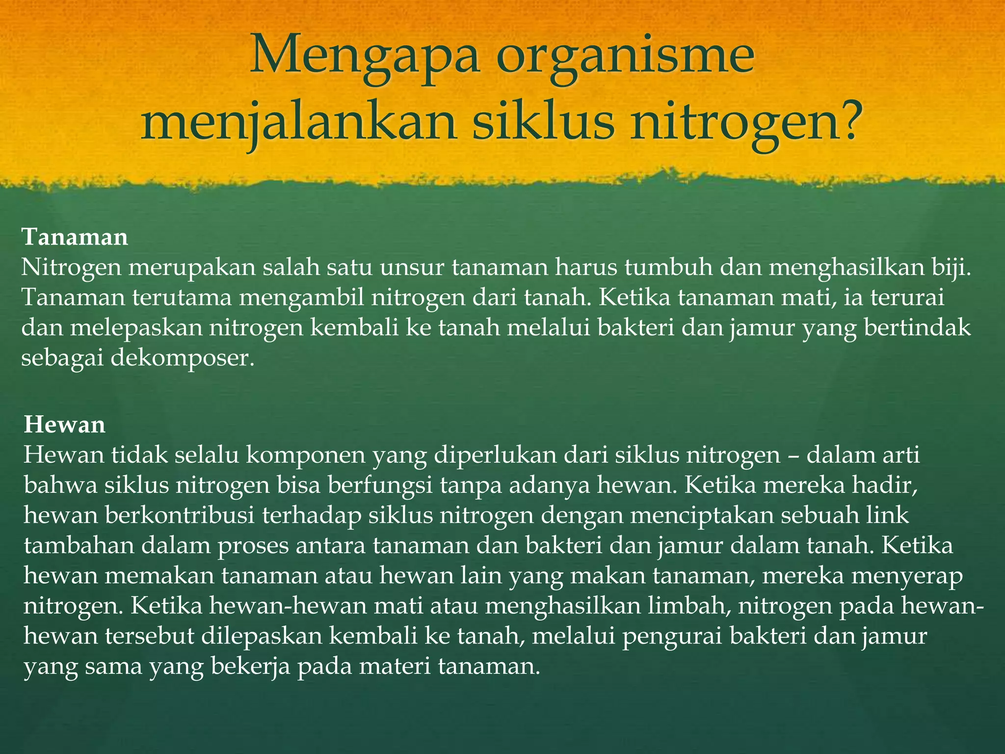 Siklus Nitrogen dan Fungsinya Bagi Kehidupan | PPTX