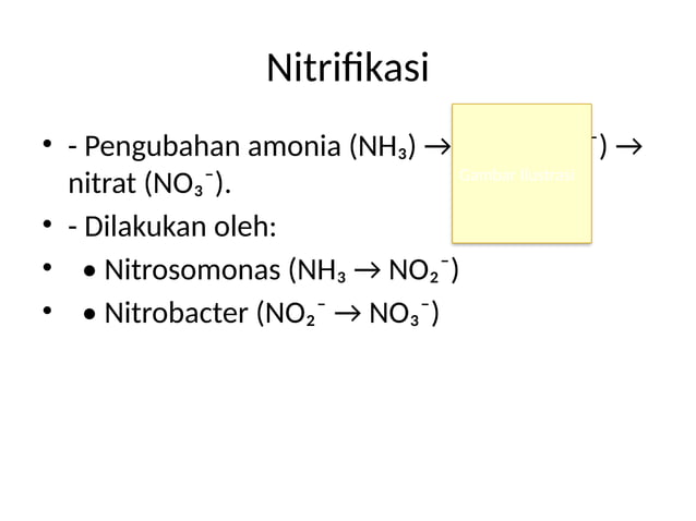 Siklus_Nitrogen_SMA_Dengan_Gambar TERBAIK.pptx