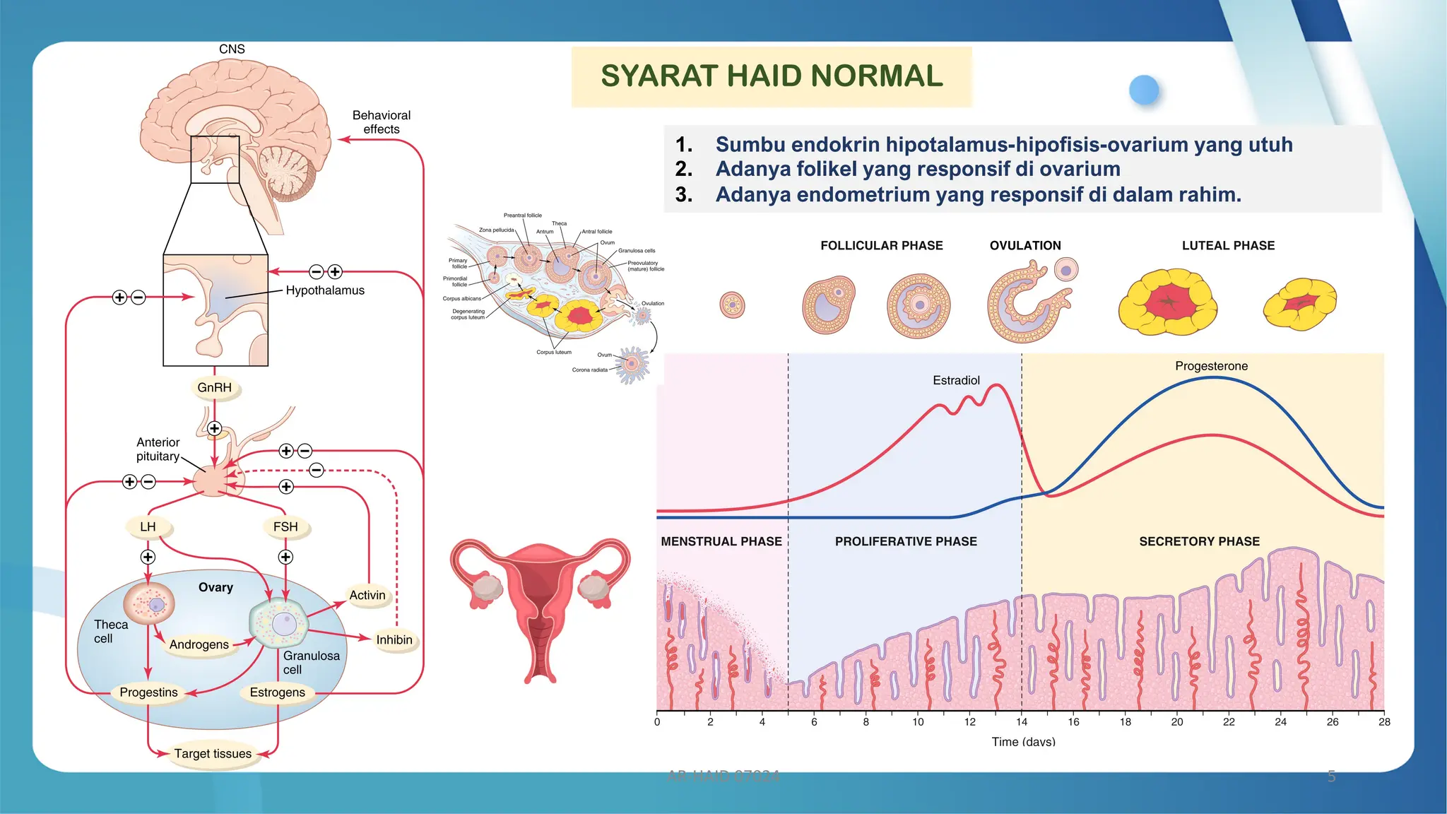 siklus haid normal pada wanita di indonesia | PDF