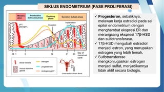 siklus haid normal pada wanita di indonesia | PDF