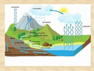 Comprehensive Overview of Biogeochemical Cycles: Oxygen, Carbon ...