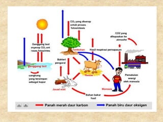 Comprehensive Overview of Biogeochemical Cycles: Oxygen, Carbon ...