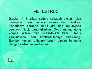 Siklus reproduksi | PPTX