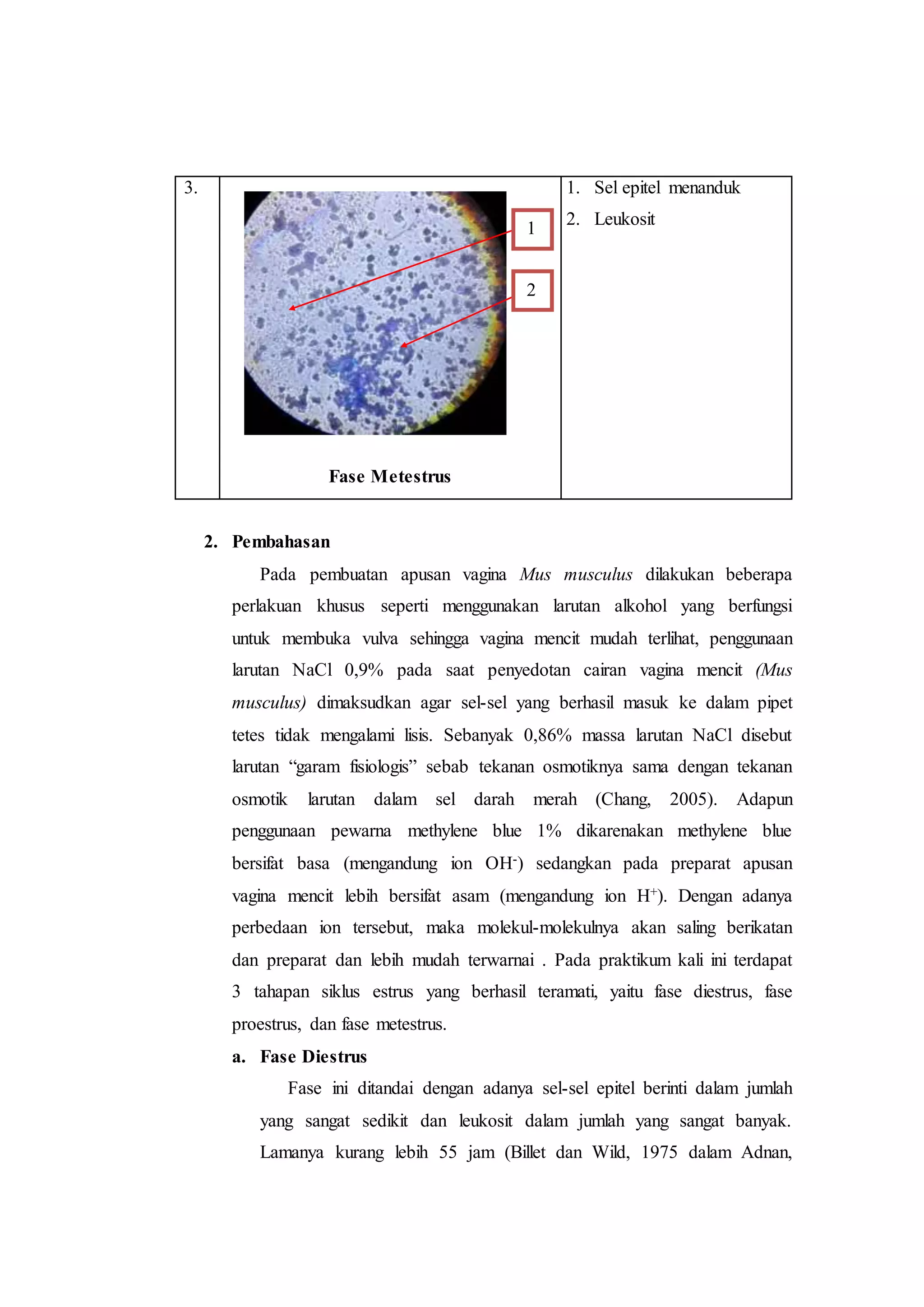 Siklus reproduksi mencit | DOCX