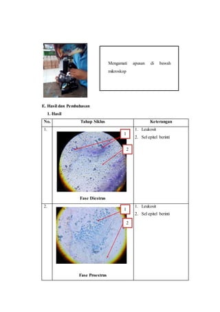 Siklus reproduksi mencit | PDF