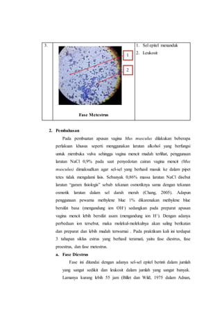 Siklus reproduksi mencit | PDF