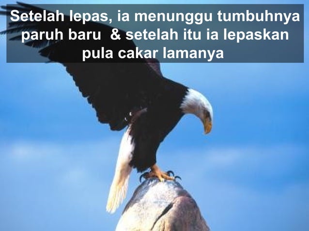 Siklus sang elang | PPT