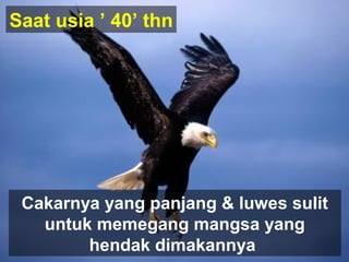 Siklus sang elang | PPS