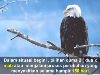 Siklus sang elang | PPS