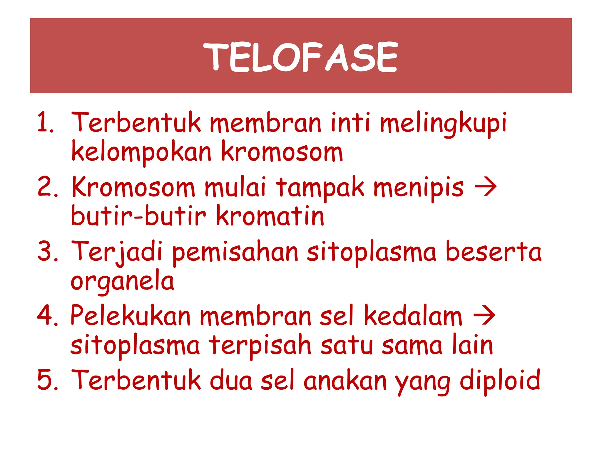 siklus sel, tahapan mitosis dan meiosis serta amitosis | PPT
