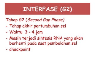 siklus sel, tahapan mitosis dan meiosis serta amitosis | PPT