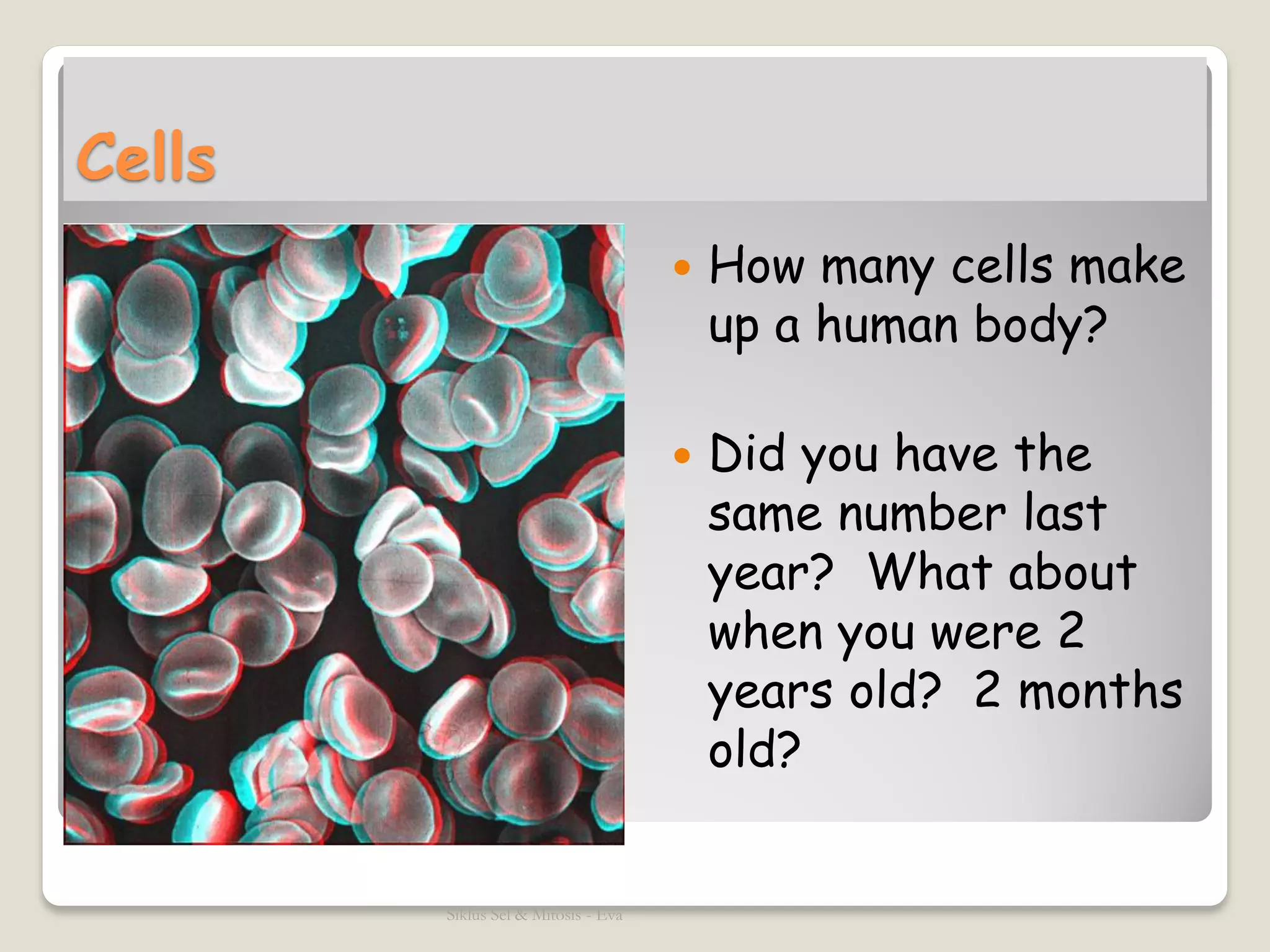 Siklus sel dan mitosis | PDF