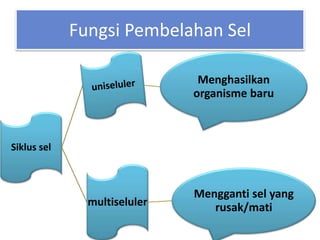 Siklus sel dan Pembelahan sel | PPTX
