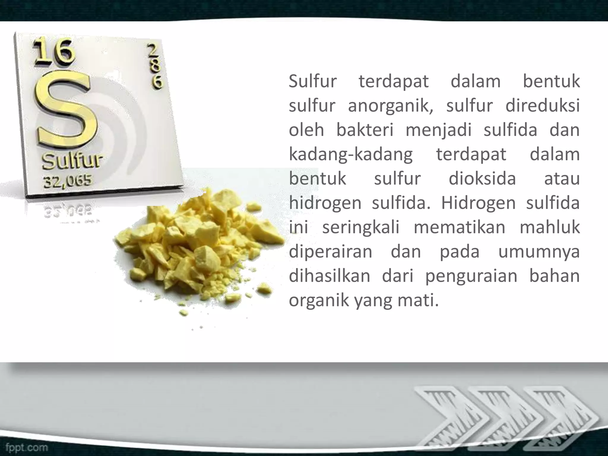 SIKLUS SULFUR ATAU BELERANG | PPT