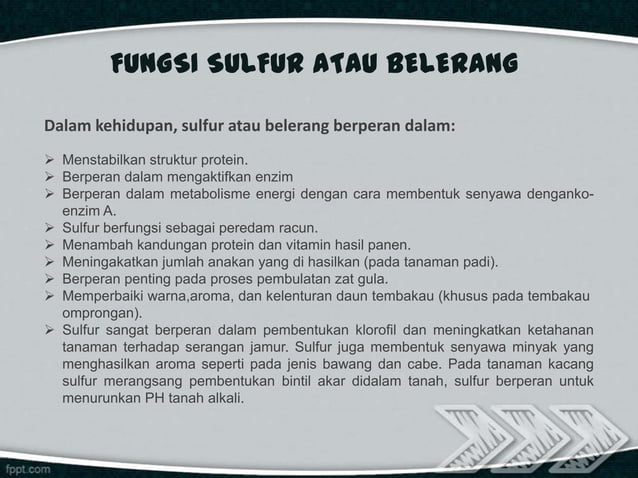 SIKLUS SULFUR ATAU BELERANG | PPT
