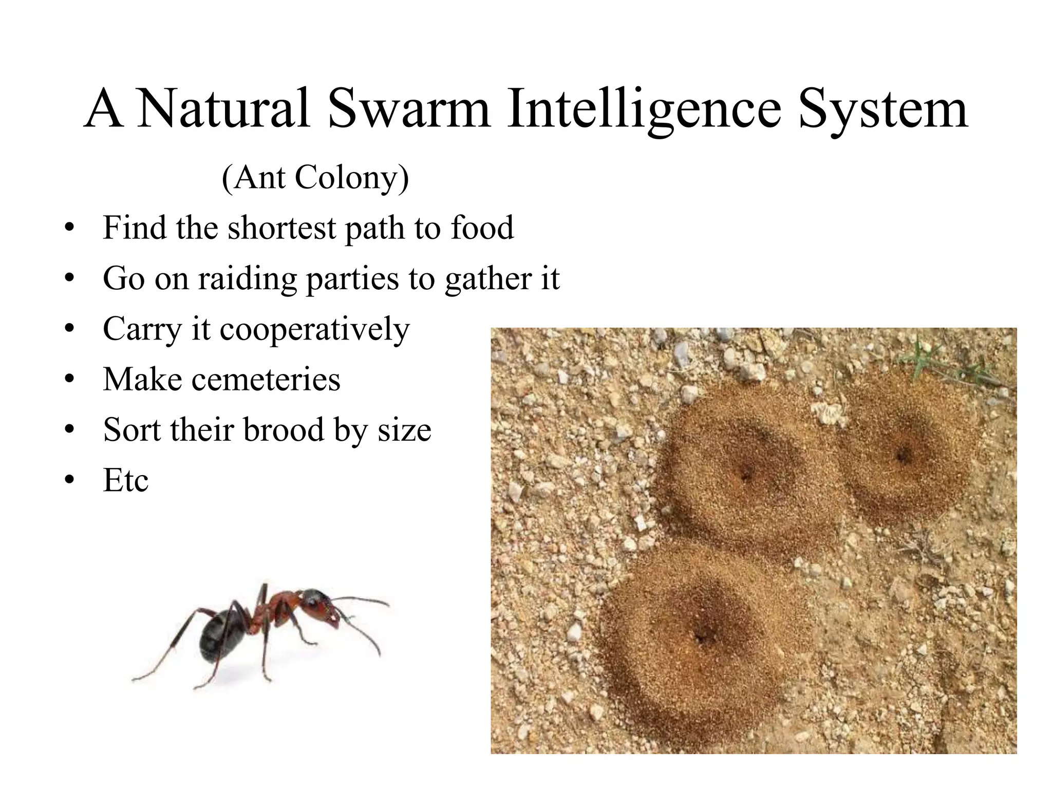 Swarm Intelligence Ppt