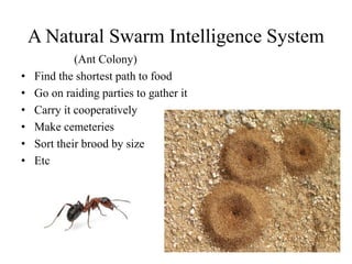 Swarm Intelligence | PPTX | Beekeeping | Hobbies & Interests