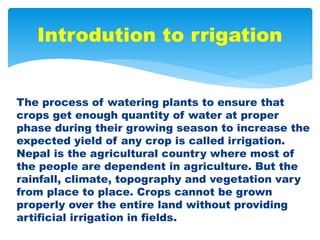 sikta-Irrigation-Project-By-.....KING.pptx