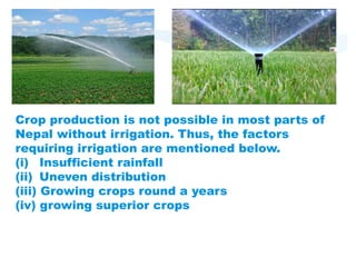 sikta-Irrigation-Project-By-.....KING.pptx