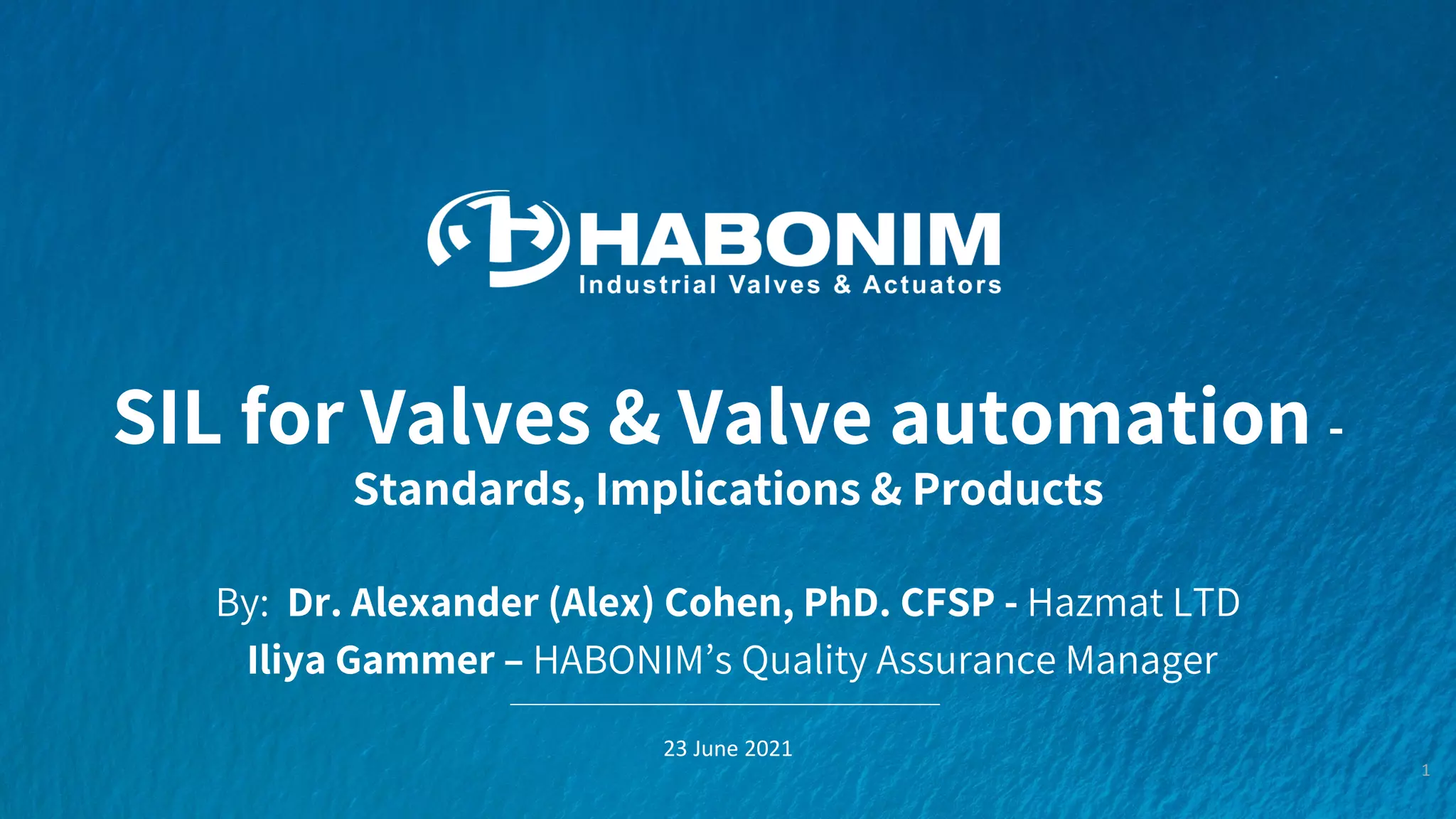 Sil for-valves-valve-automation-standards-implications-products- final ...