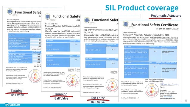 Sil for-valves-valve-automation-standards-implications-products- final ...